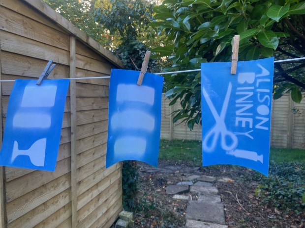 ‘The Opposite of Swedish Death Cleaning’ – cyanotype cover art – Alison ...